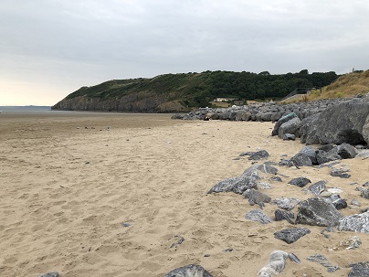 The Dog Blog - Pendine sands - The Falcondale